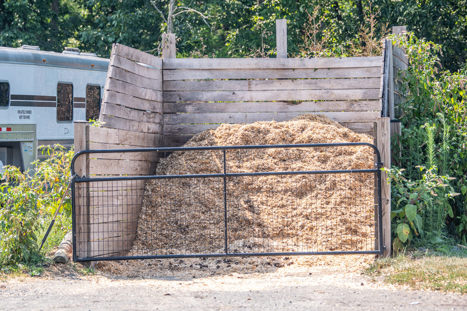 Summer Survival Guide: Fight Flies and Beat the Heat - Dressage Today