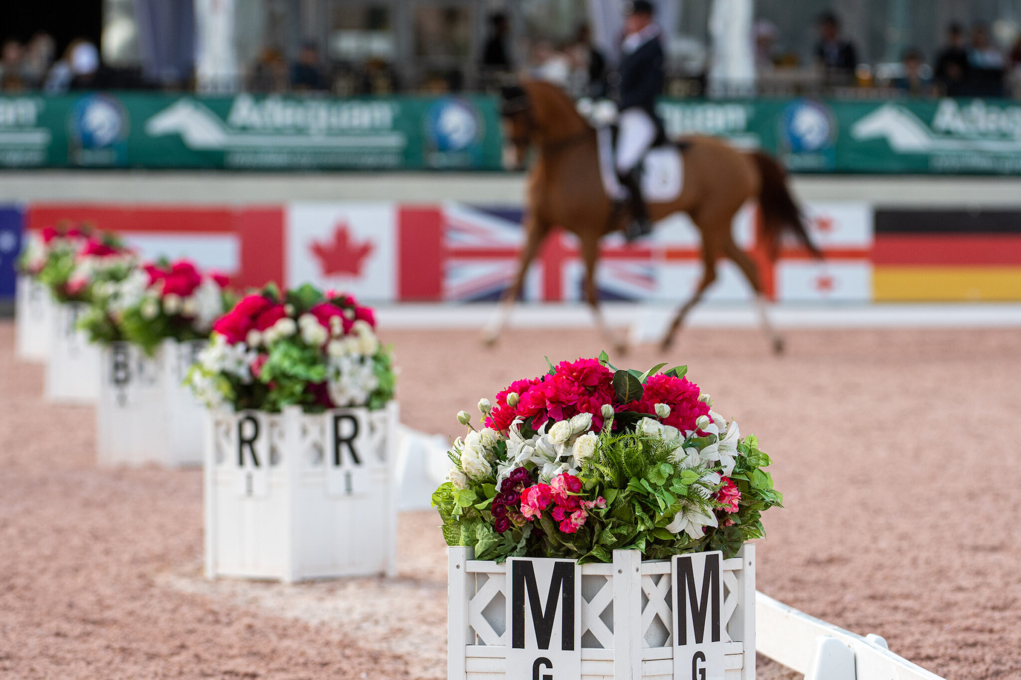 US Equestrian Rule Updates: Board Announces Approved Rule Changes ...