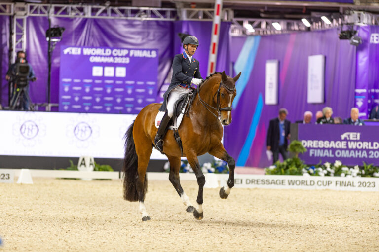 The Complex Spectrum of Equine Coat Color and Color Genetics - Dressage ...