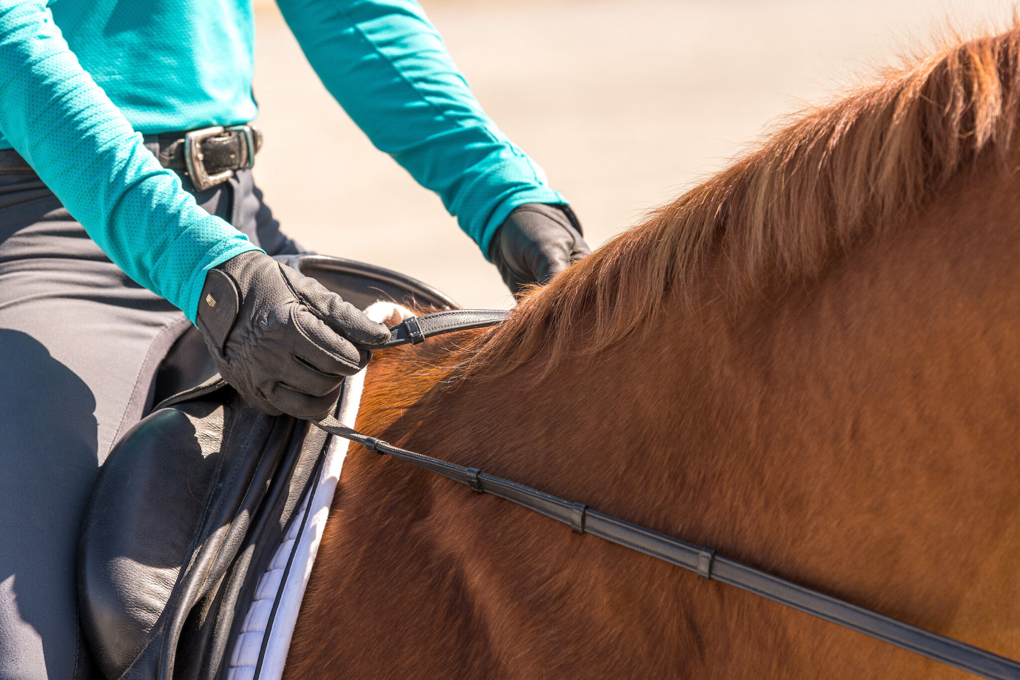 Ask the L: Establish Proper Connection in Leg Yield - Dressage Today