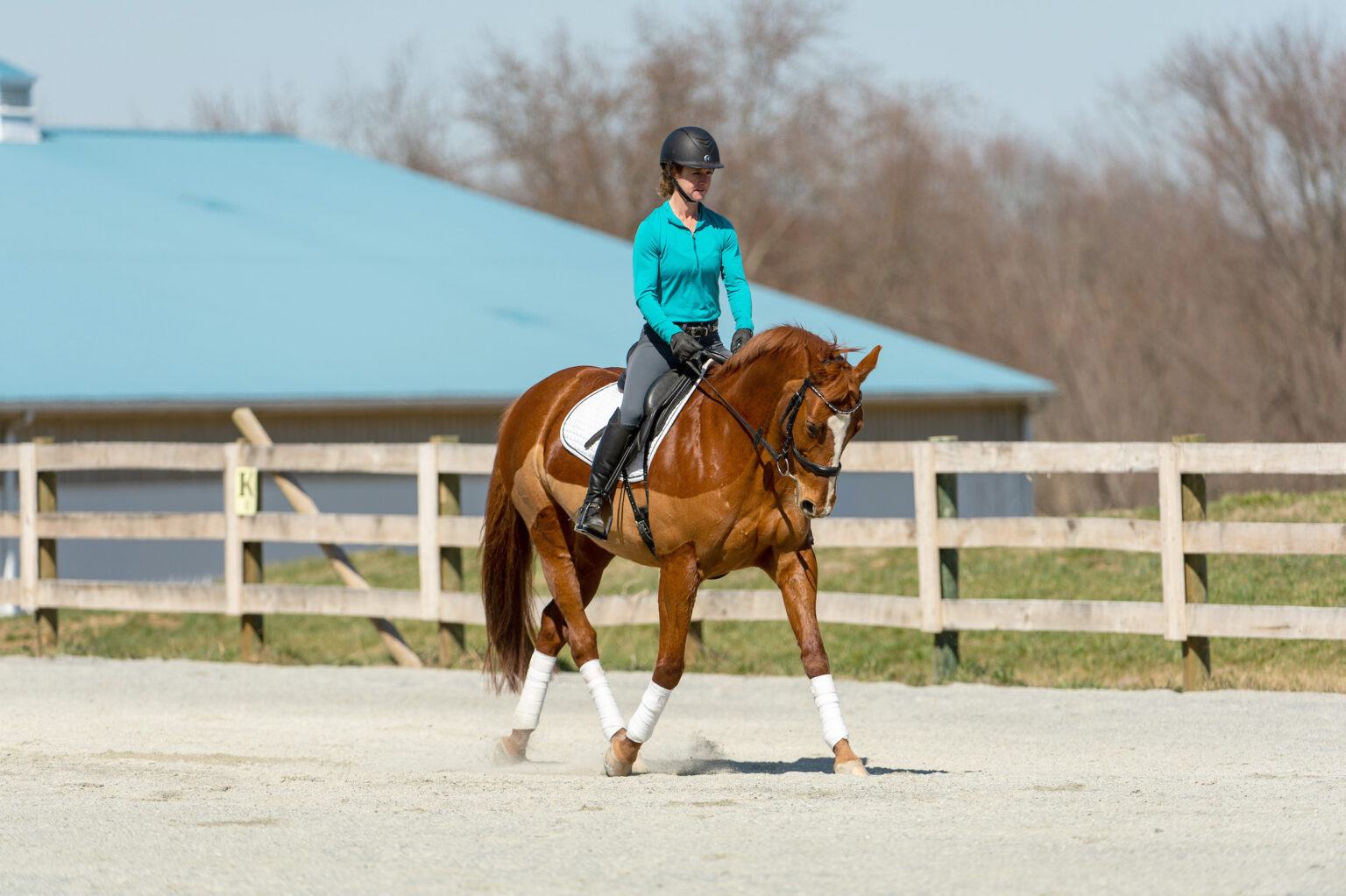 Ask the L: Establish Proper Connection in Leg Yield - Dressage Today