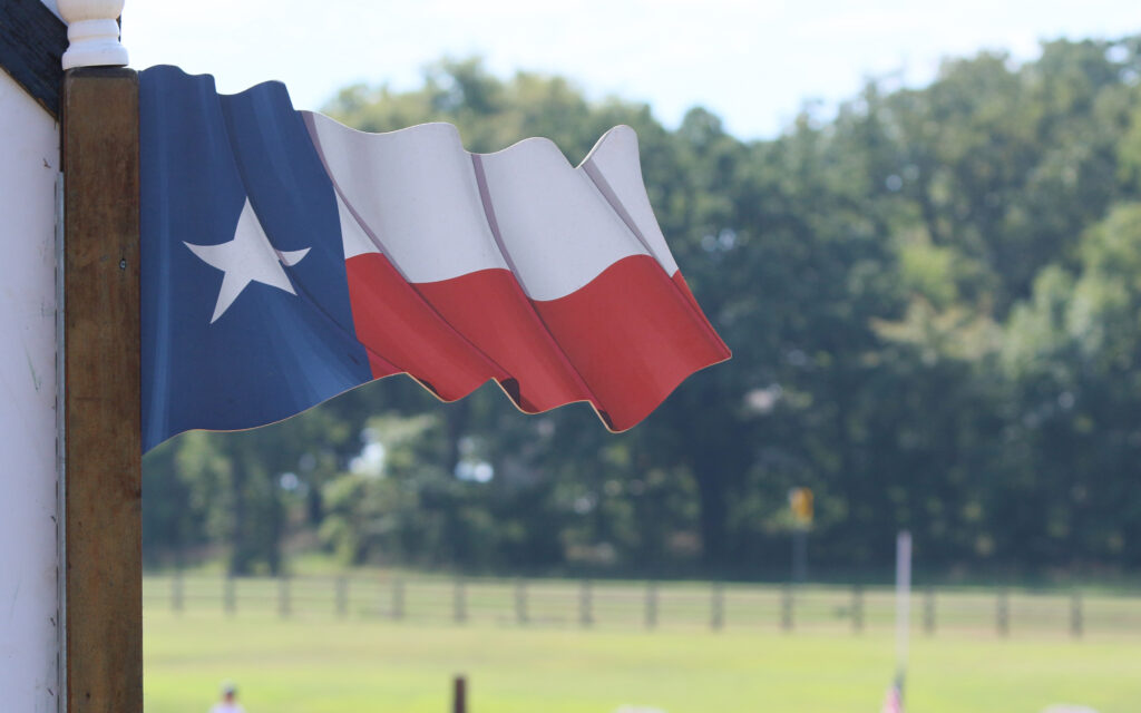 Texas Advises Horse Owners to Be on Alert After Confirmed EHV-1 Cases ...