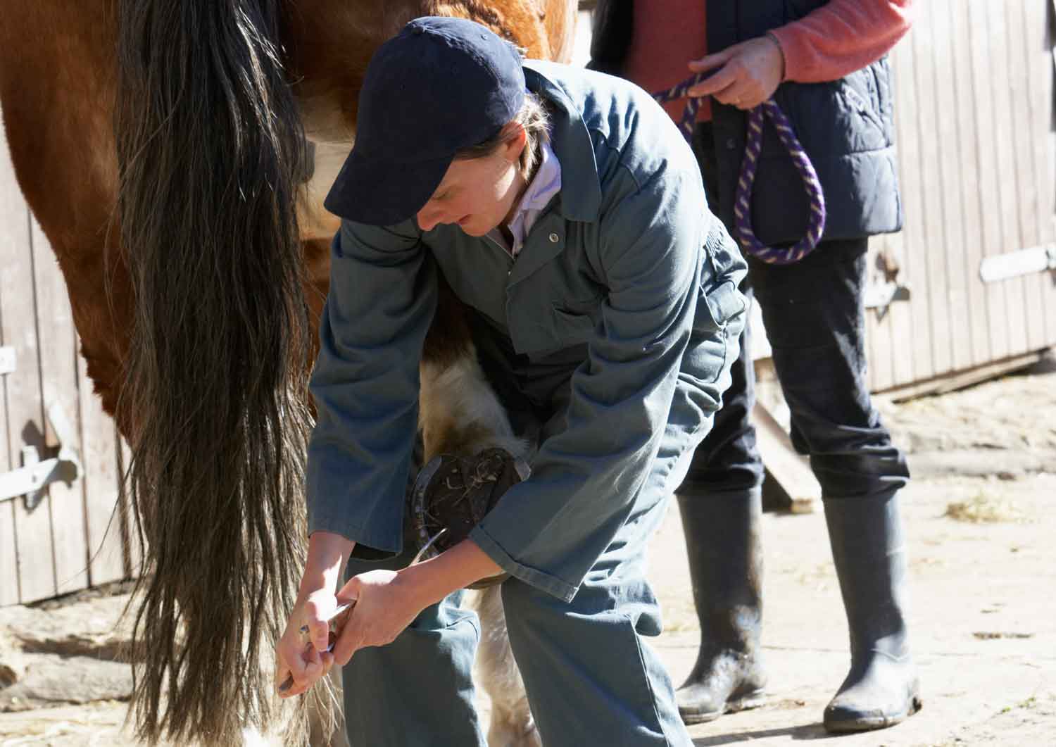 How Veterinarians Can Use Ergonomics to Reduce Injury Risk - EquiManagement