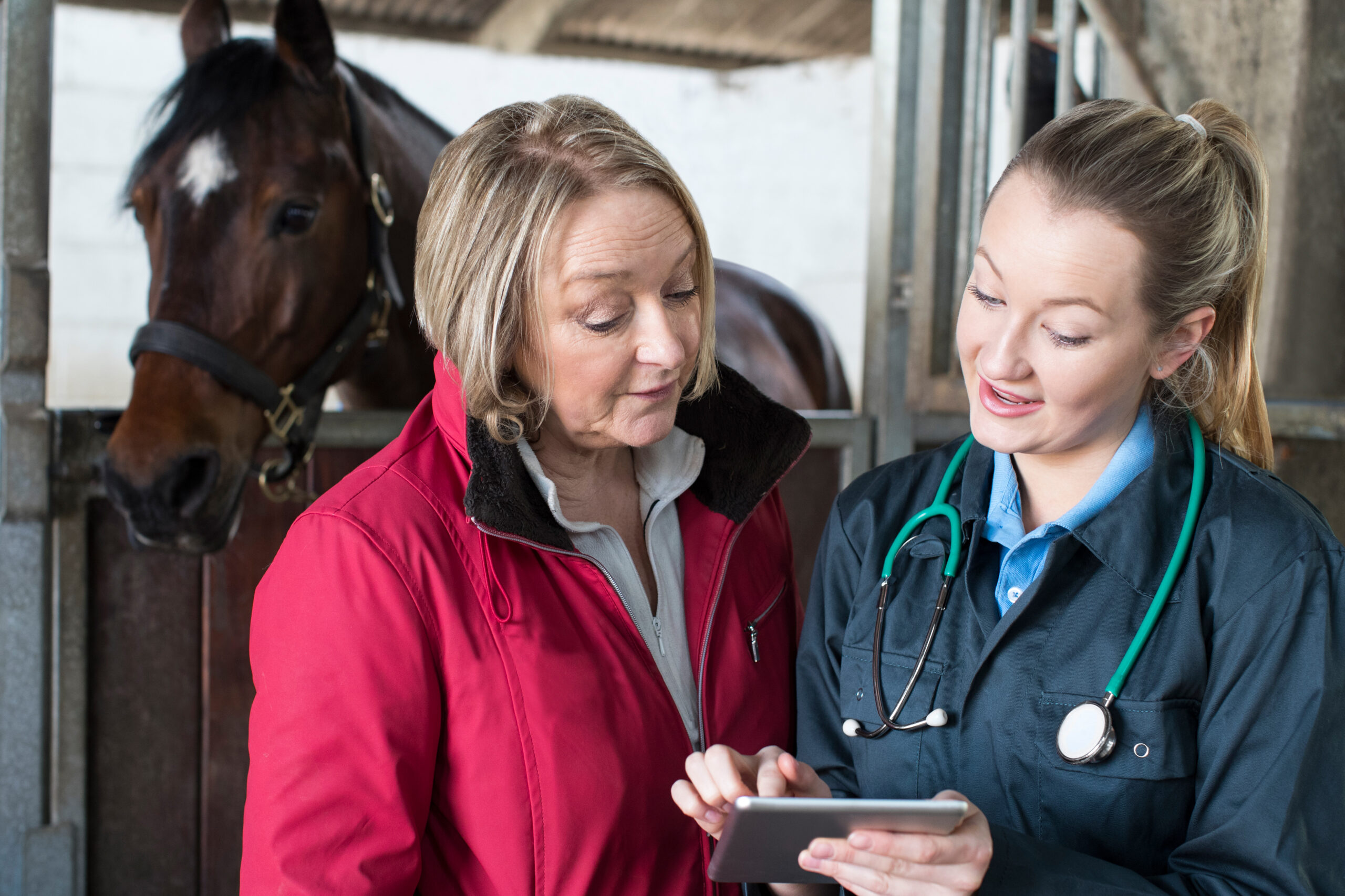 Building Profitability in Equine Practice - EquiManagement