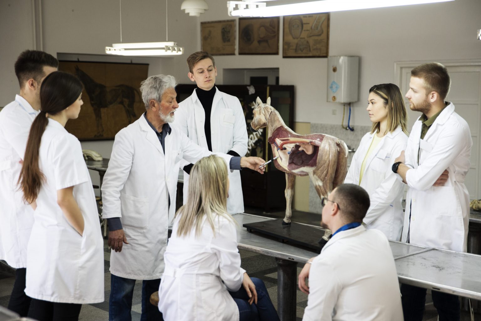 Today's Vet Schools - EquiManagement