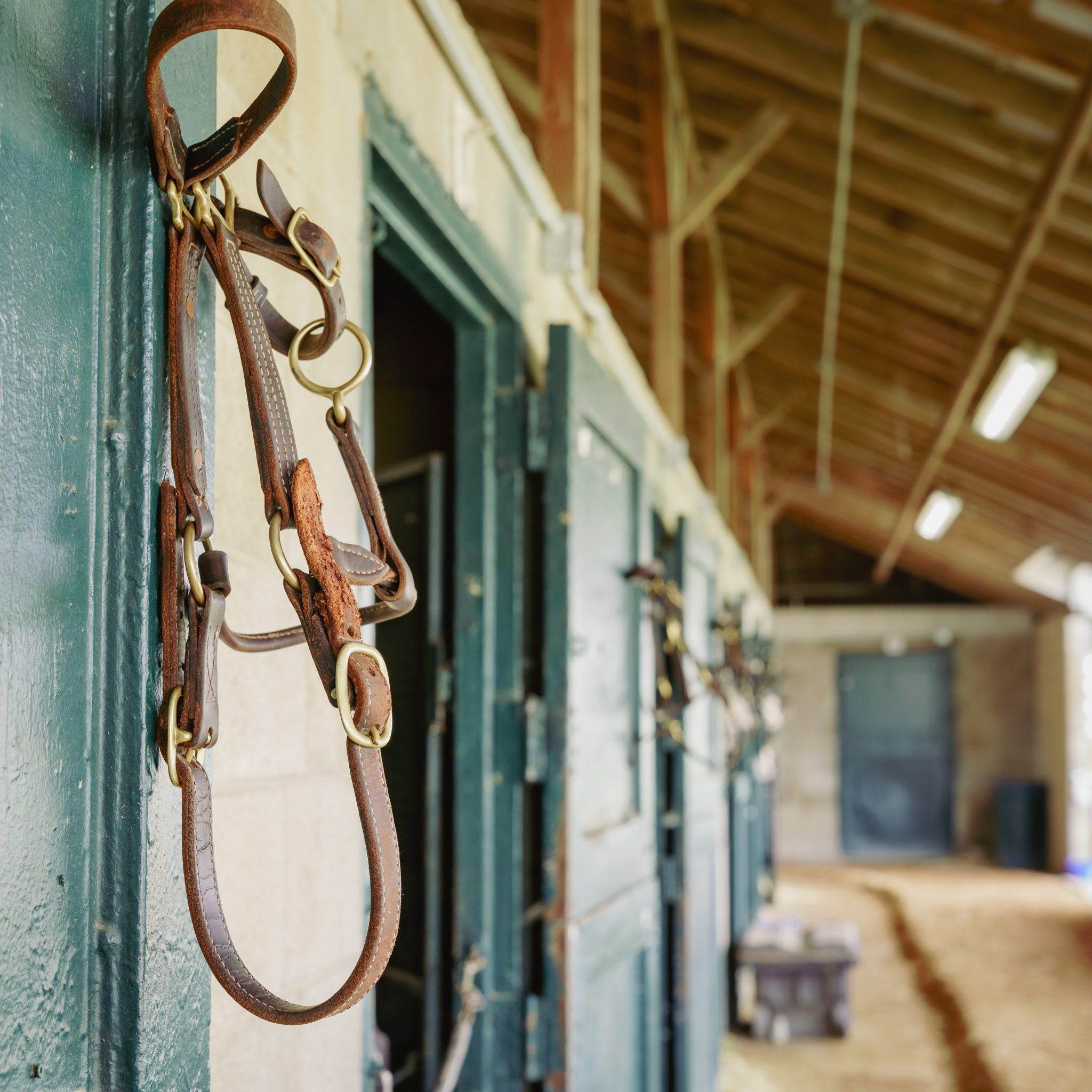 S. equi Survivability with Cleaning/Sanitation - EquiManagement