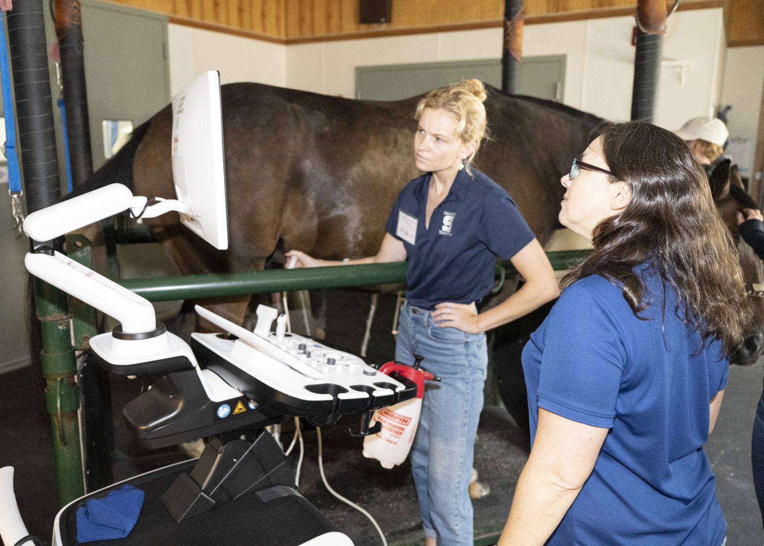 Cavalcade Future Equine Practitioner Weekend - EquiManagement