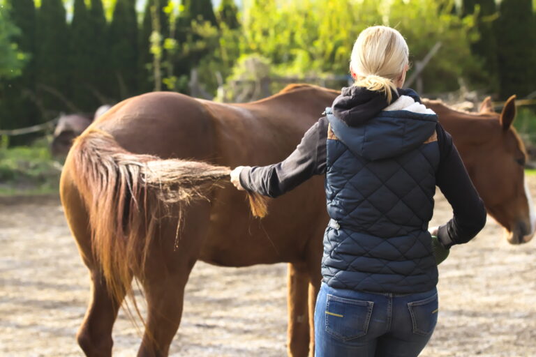 Horse Back Pain Rehabilitation - EquiManagement