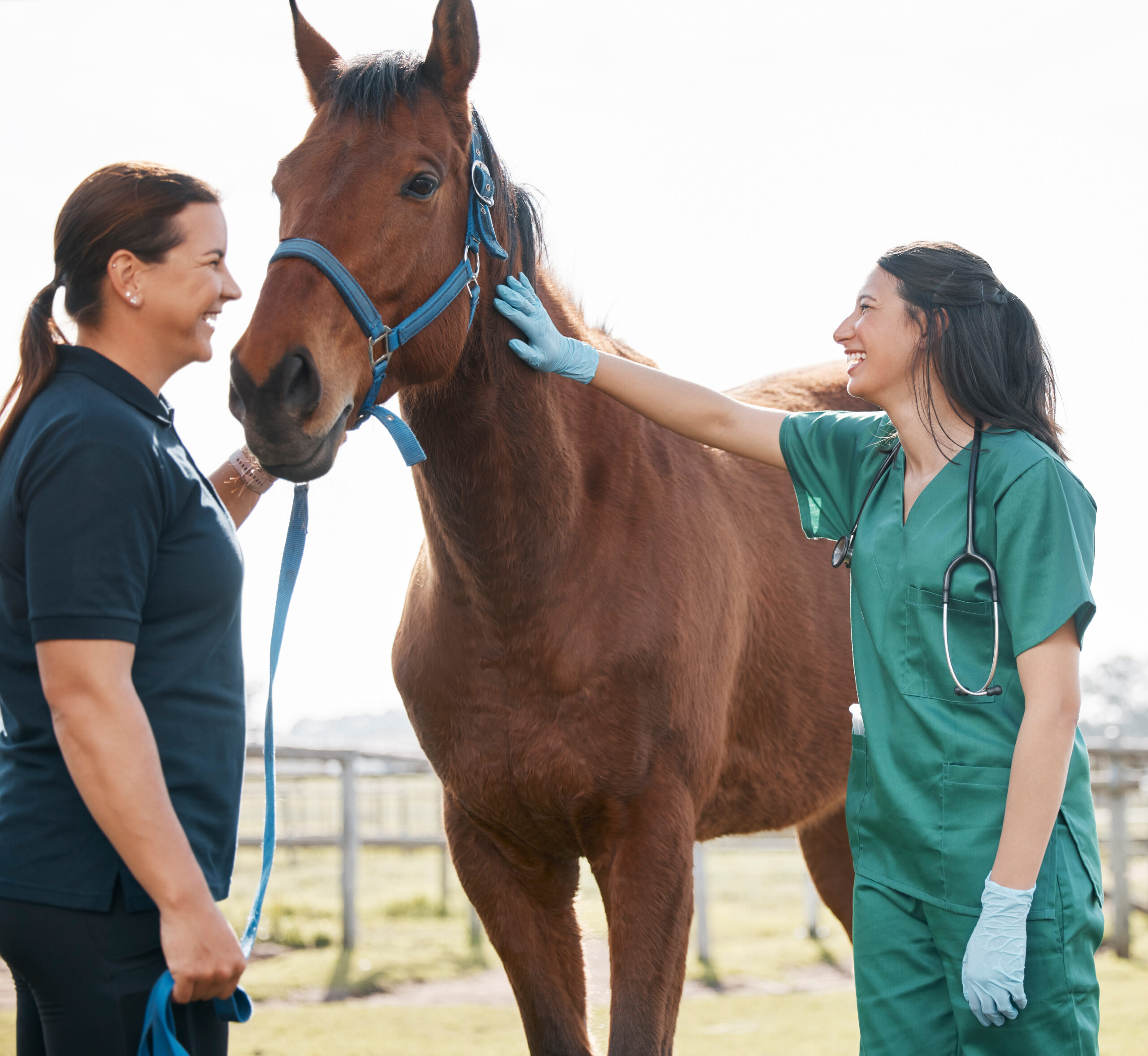Vet Wellness Briefs: Speaking Your Truth - EquiManagement