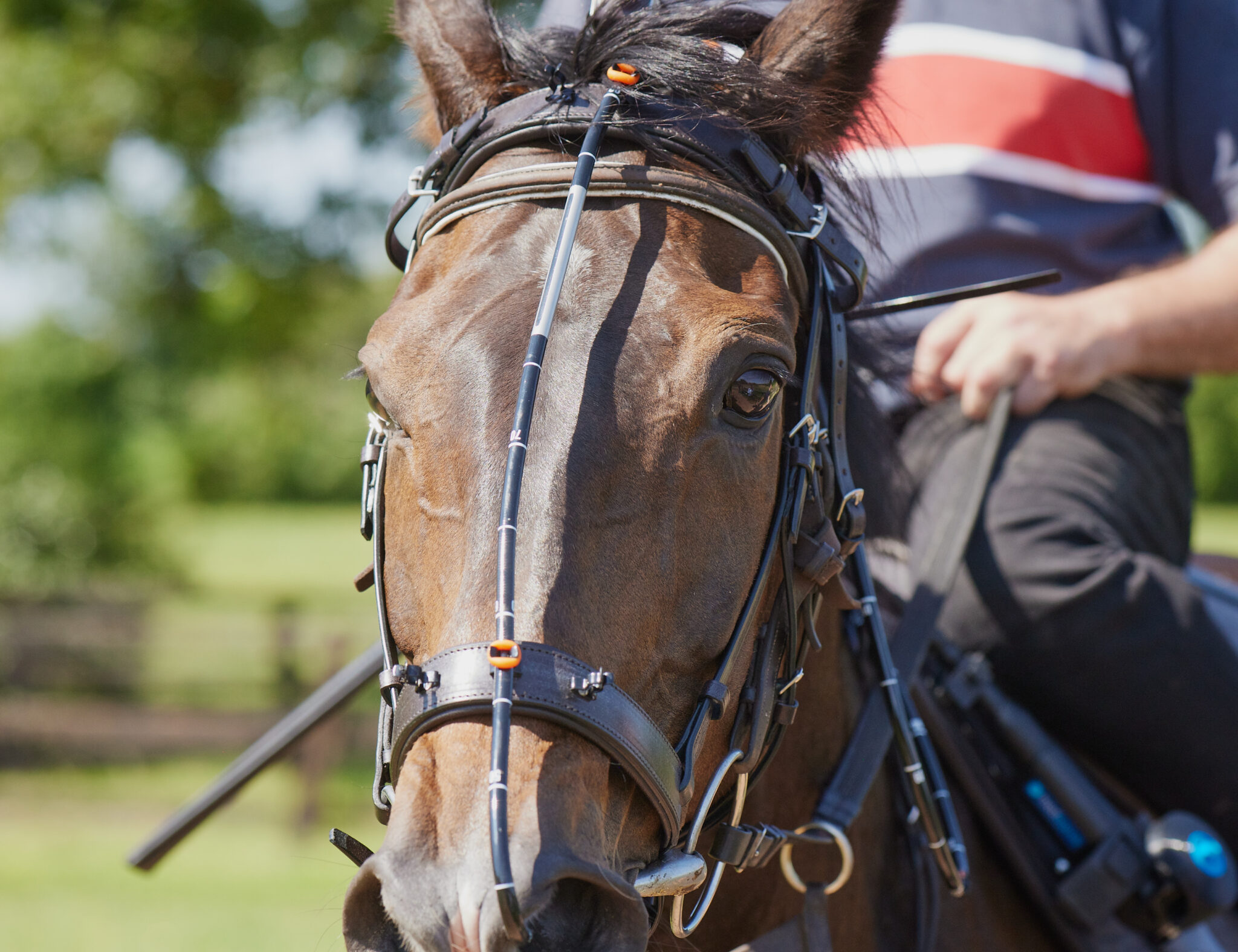 MEDView Dynamic Endoscopy - EquiManagement