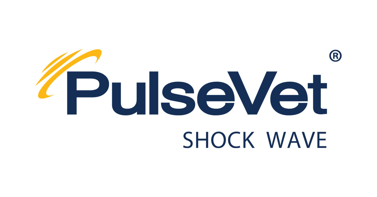 PulseVet Shock Wave Therapy for Horses - EquiManagement