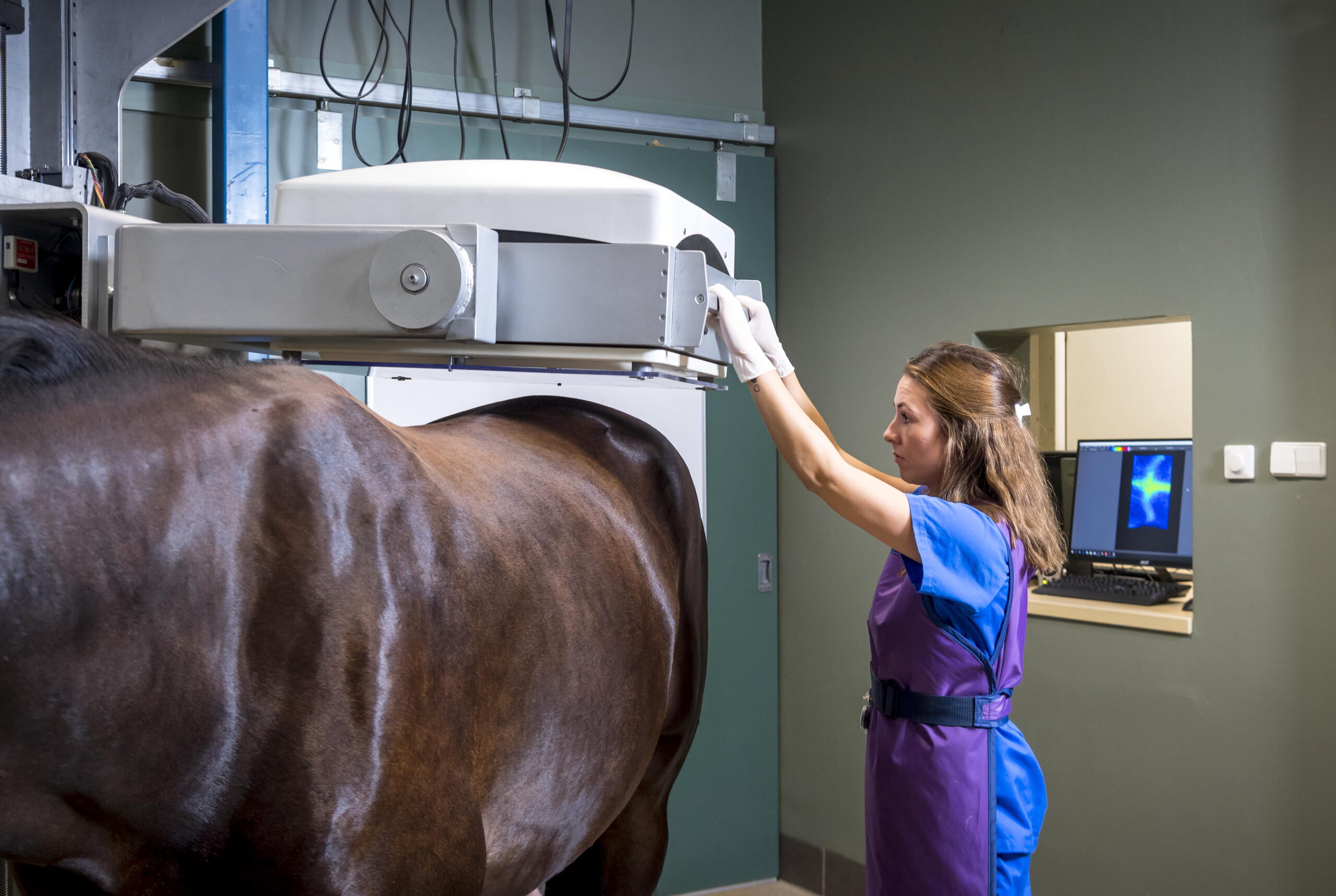 Using Advanced Imaging for Lameness Workups in Horses - EquiManagement
