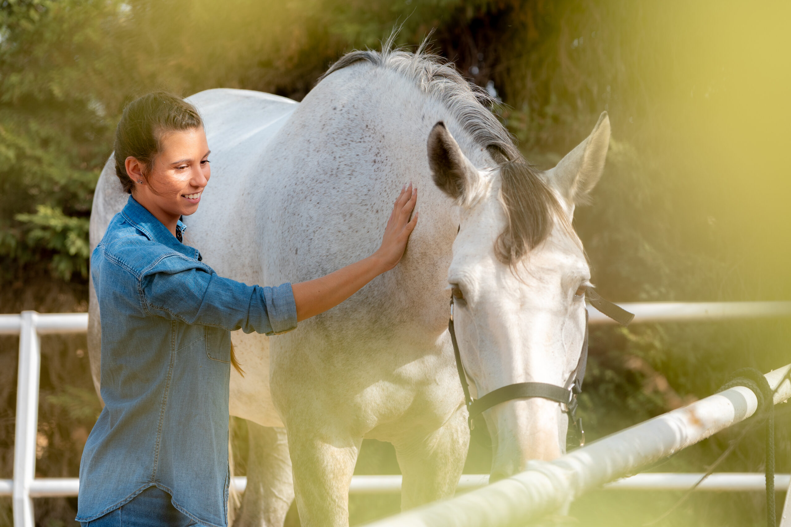 Business Briefs: Building Confidence in Equine Practice - EquiManagement