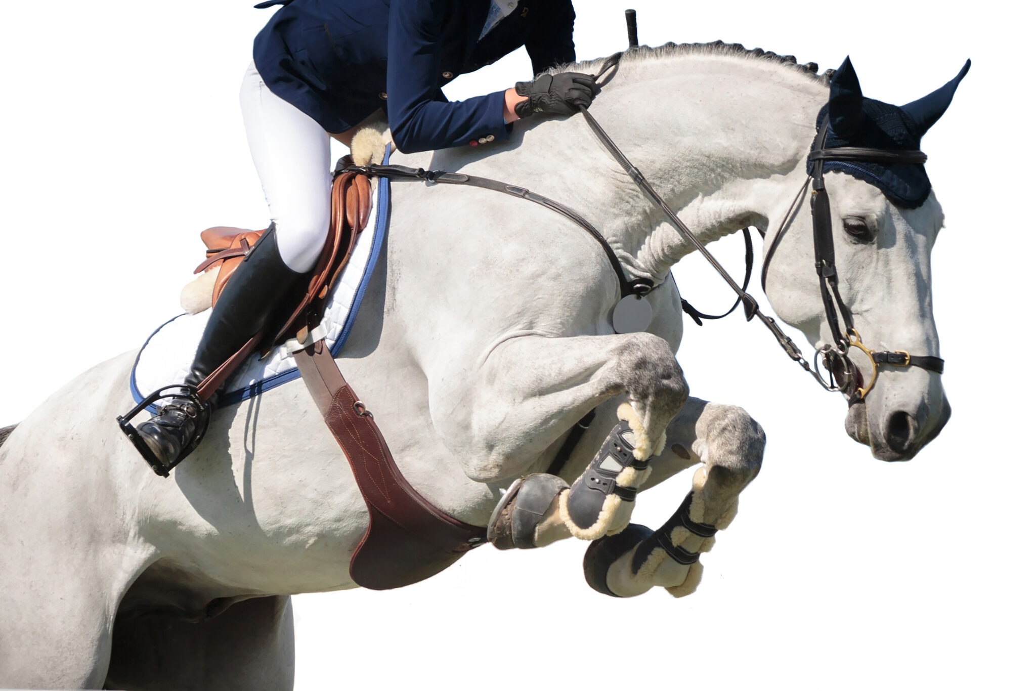 Prevalence of Lameness in FEI Horses - EquiManagement