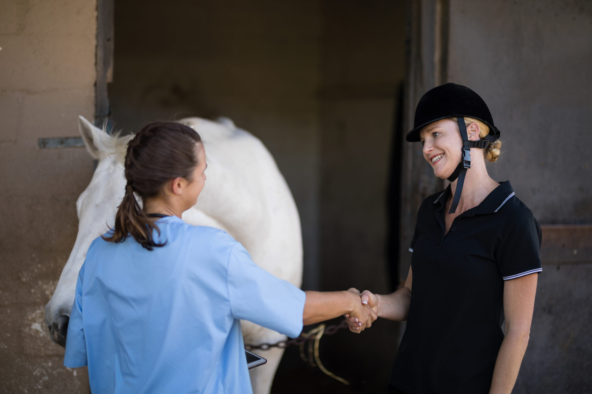 Horse Ownership Is a Choice - EquiManagement