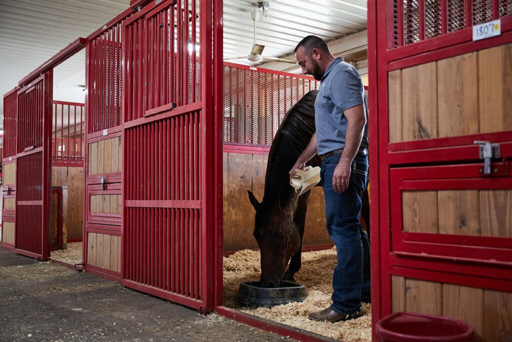 Purina Introduces Probiotic Supplement, Microbiome Testing Kit ...