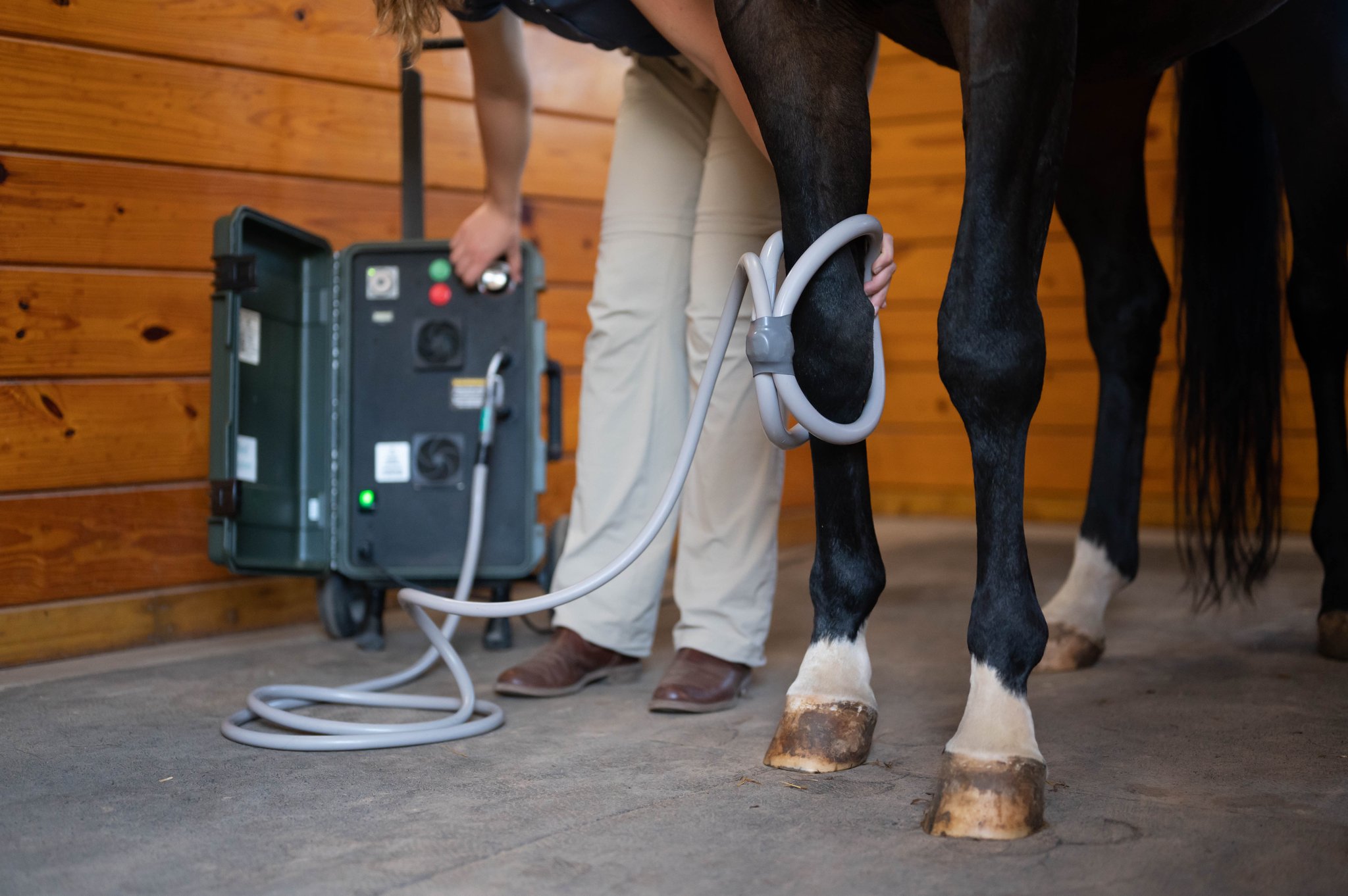 PEMF Use Restricted to Veterinarians in 3 States - EquiManagement