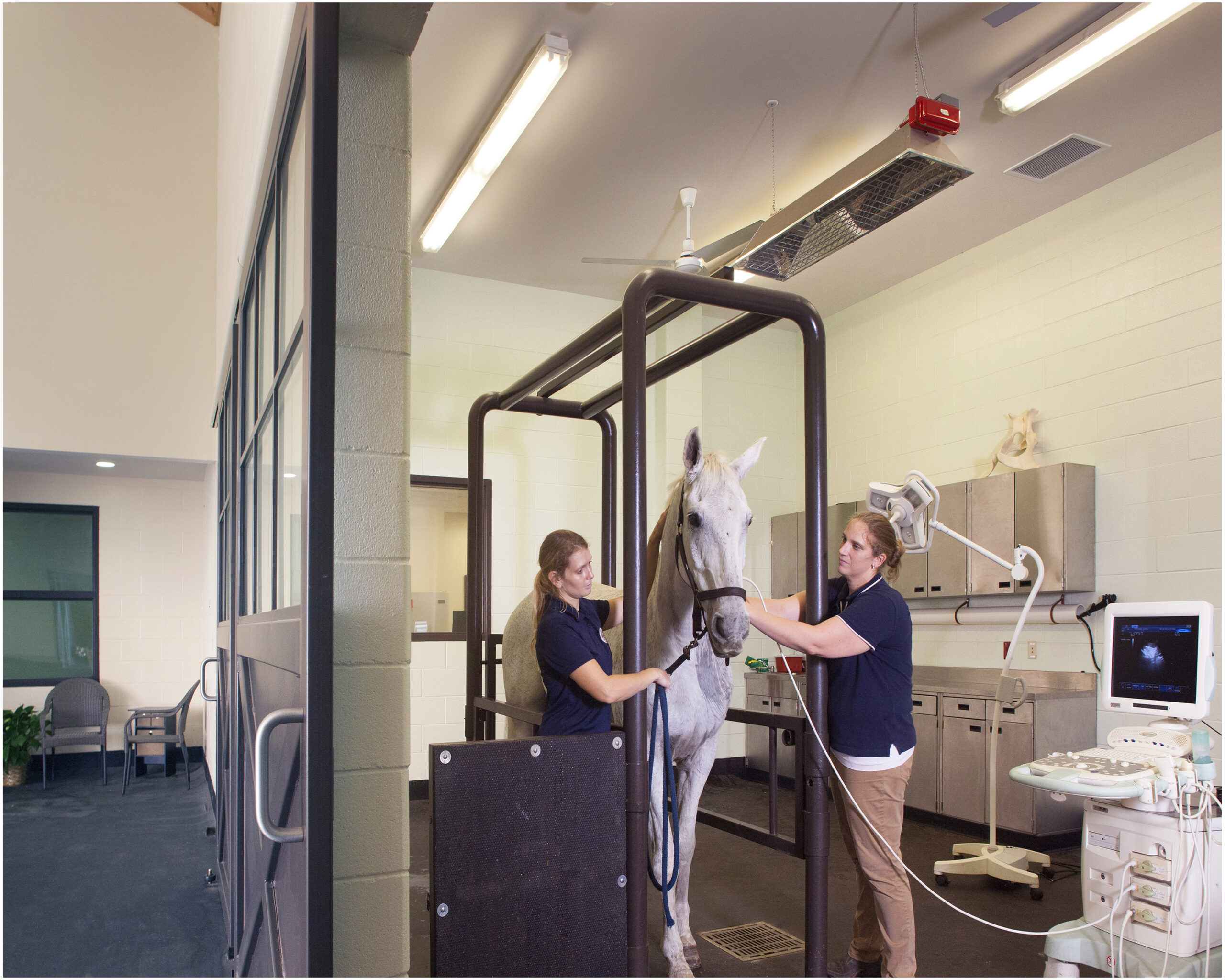 Design Your Equine Clinic for the Team - EquiManagement