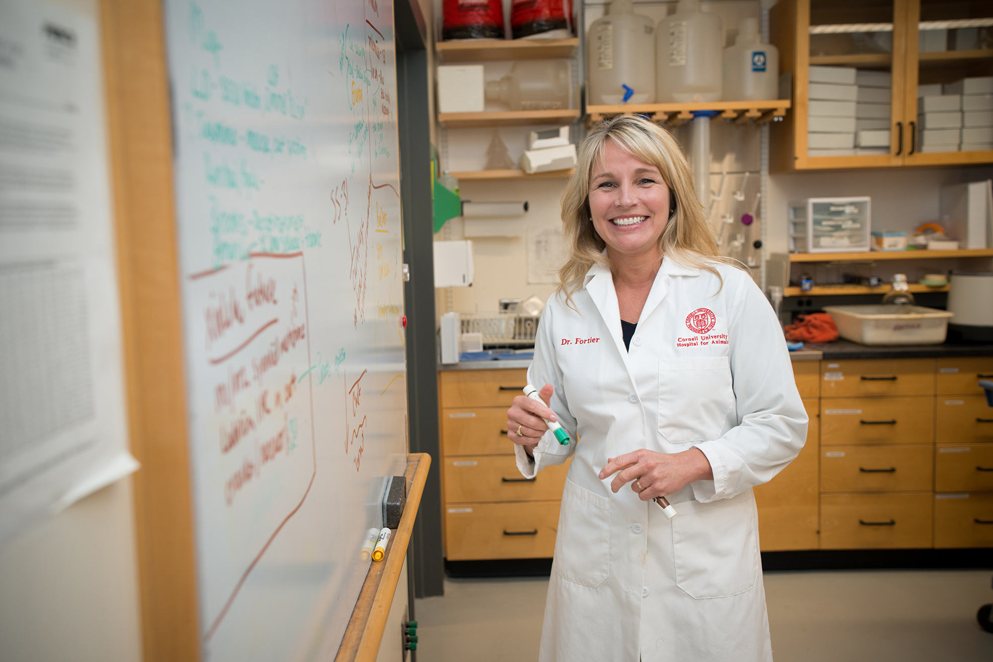 AAEP Milne Lecture Preview: The Equine Community Leading the Way in ...