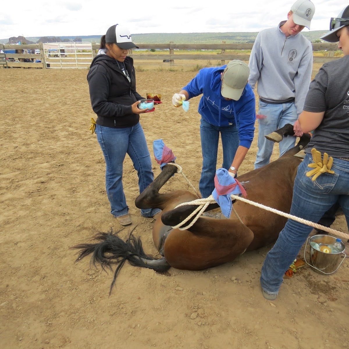 Reflections on a Rewarding Equitarian Initiative Trip - EquiManagement