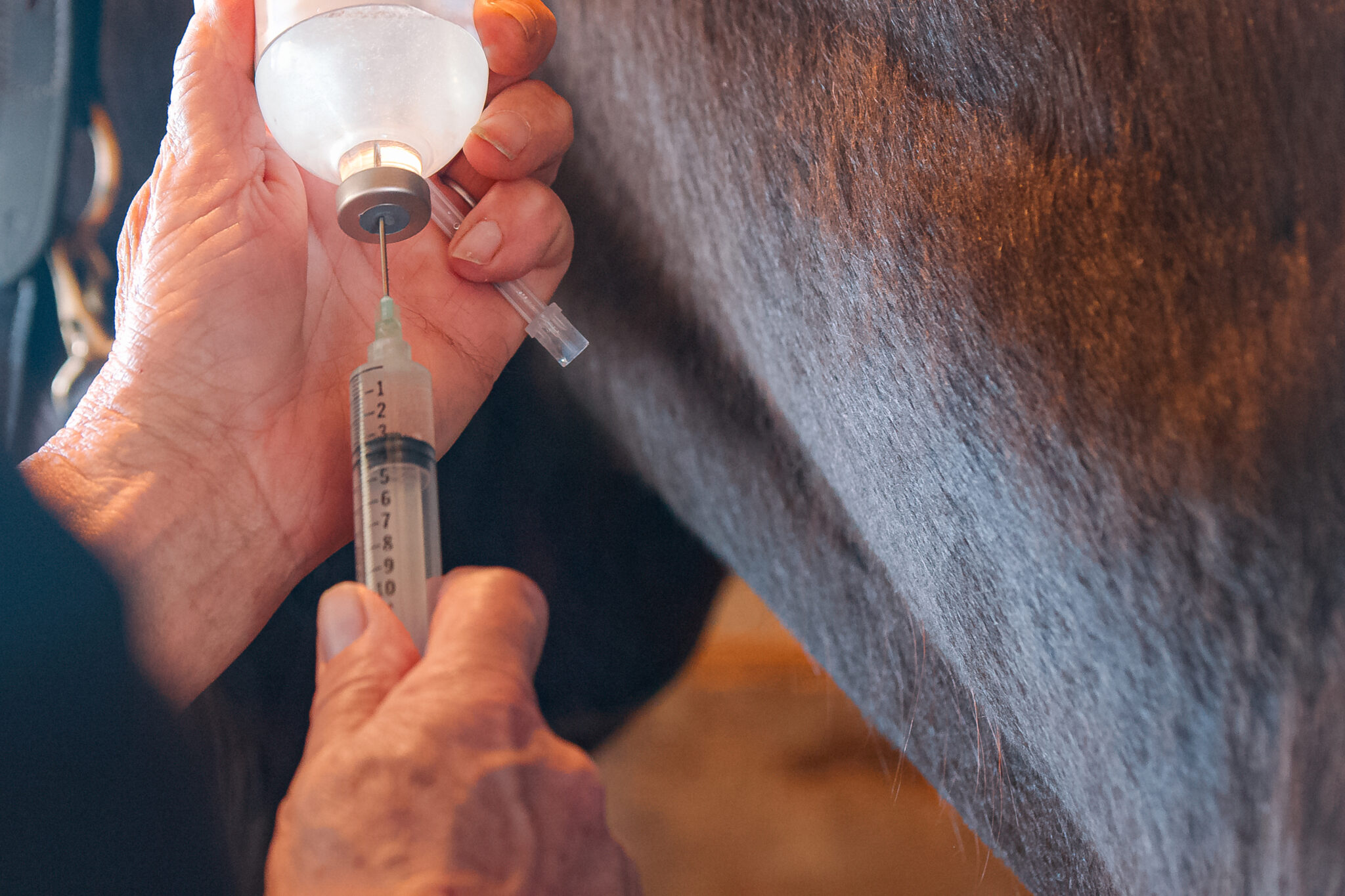 Disease Du Jour: Pioneer, Generic, Compounded, and Counterfeit Animal ...