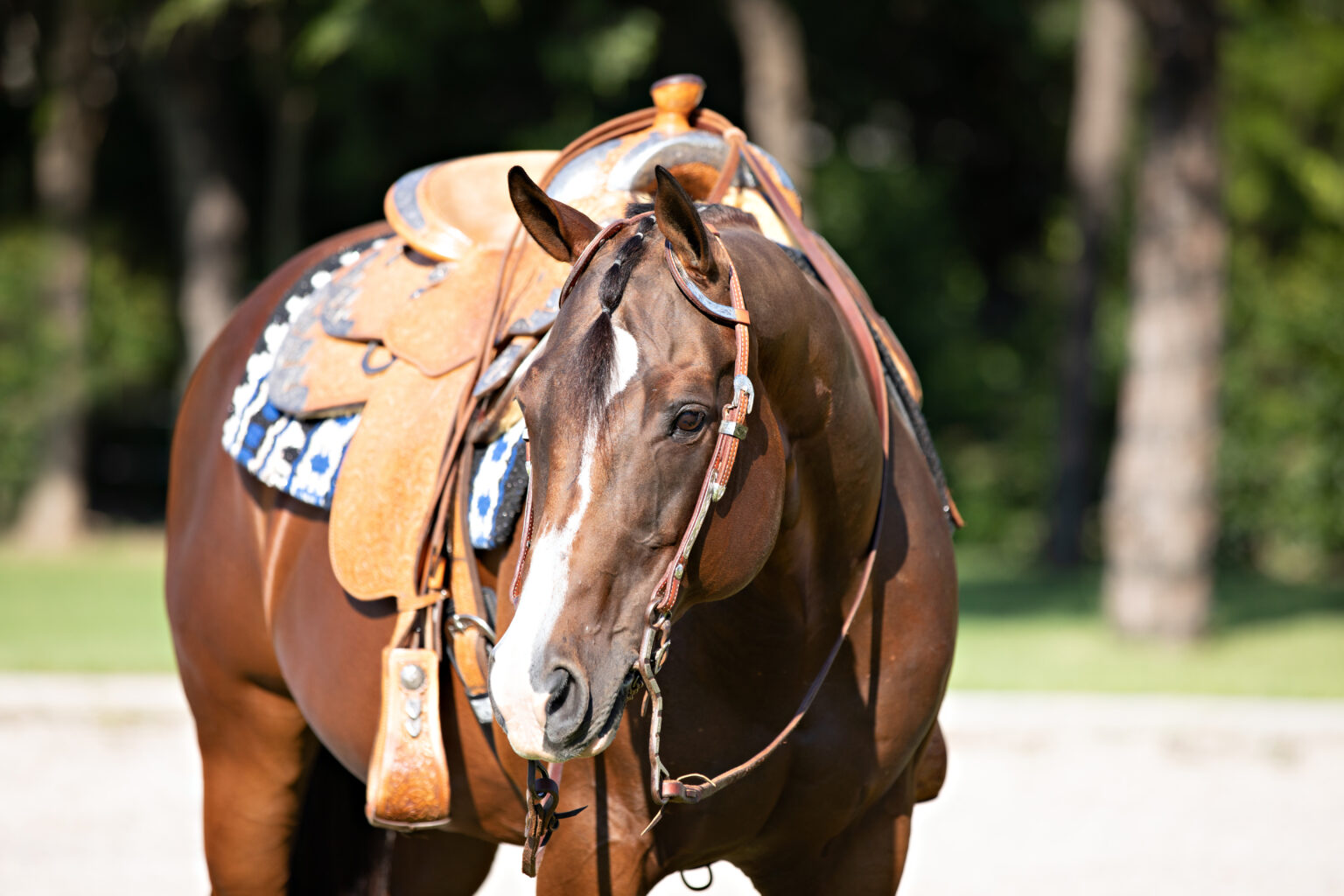 The AQHA’s Approach Toward Social License to Operate - EquiManagement