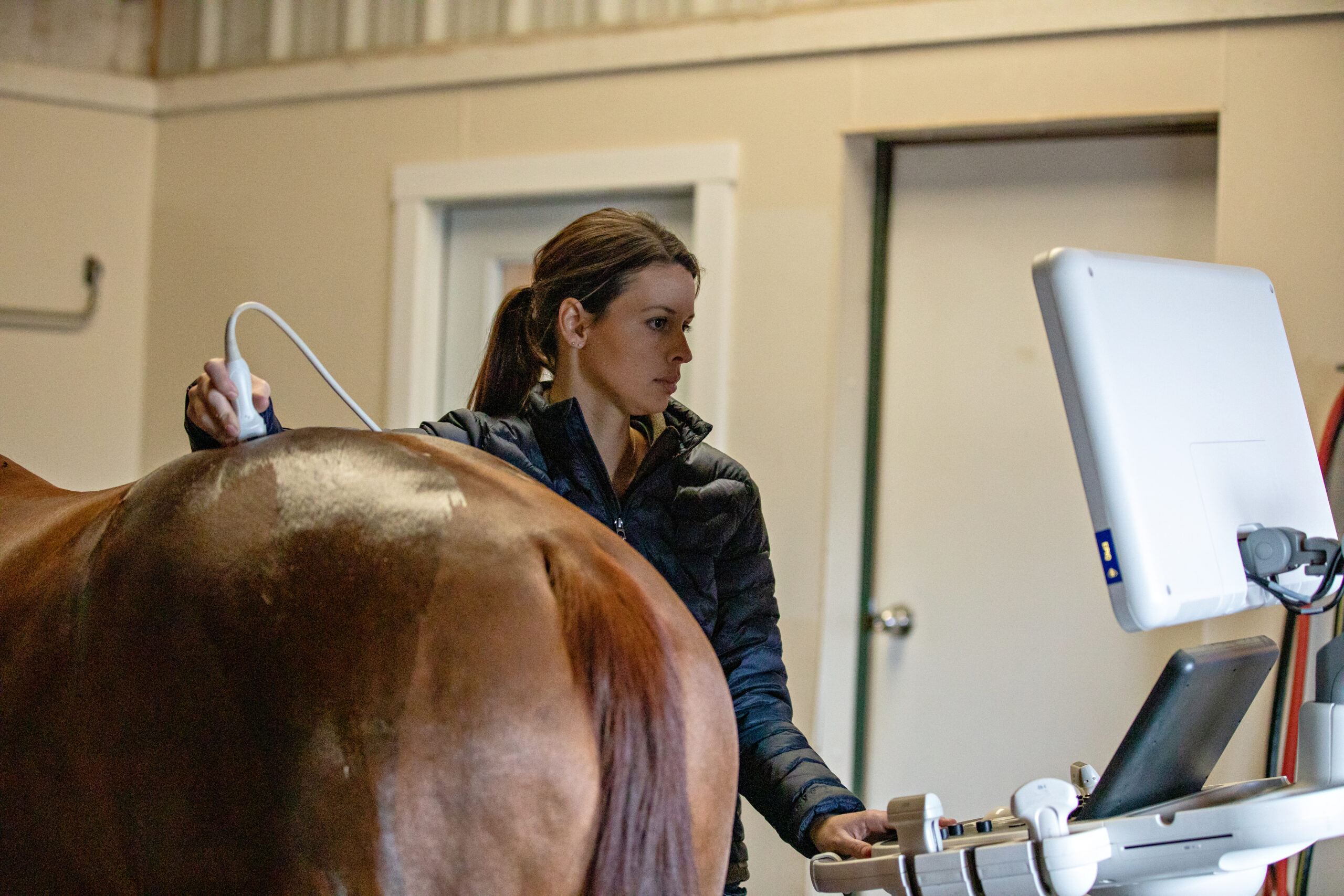 Optimizing Equine Ultrasound Machine Settings for Use in the Field ...