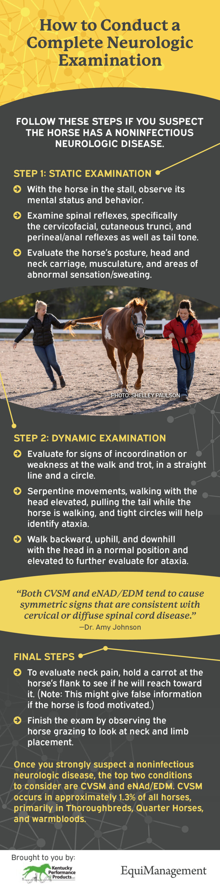 Infographic: How to Conduct a Complete Neurologic Examination ...