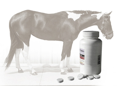 EQUUS Pop Quiz: Bute facts and myths