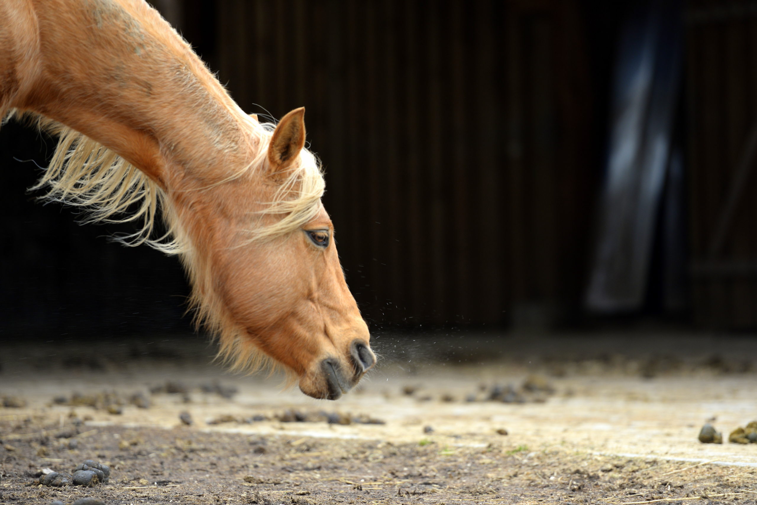 Safe recovery from sedation