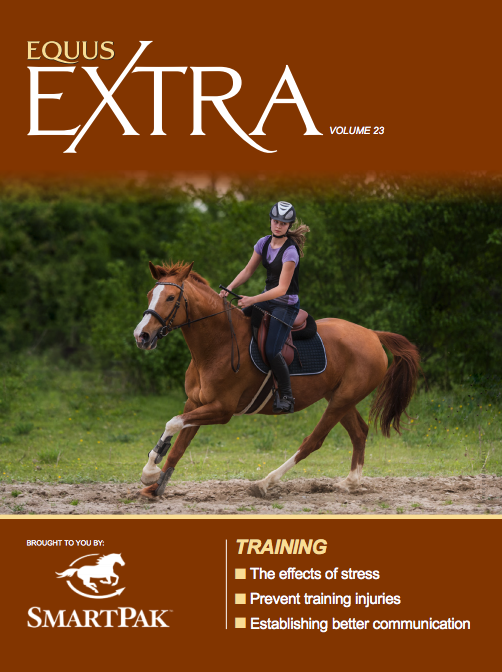 6 Rules for Effective Training - Equus Magazine