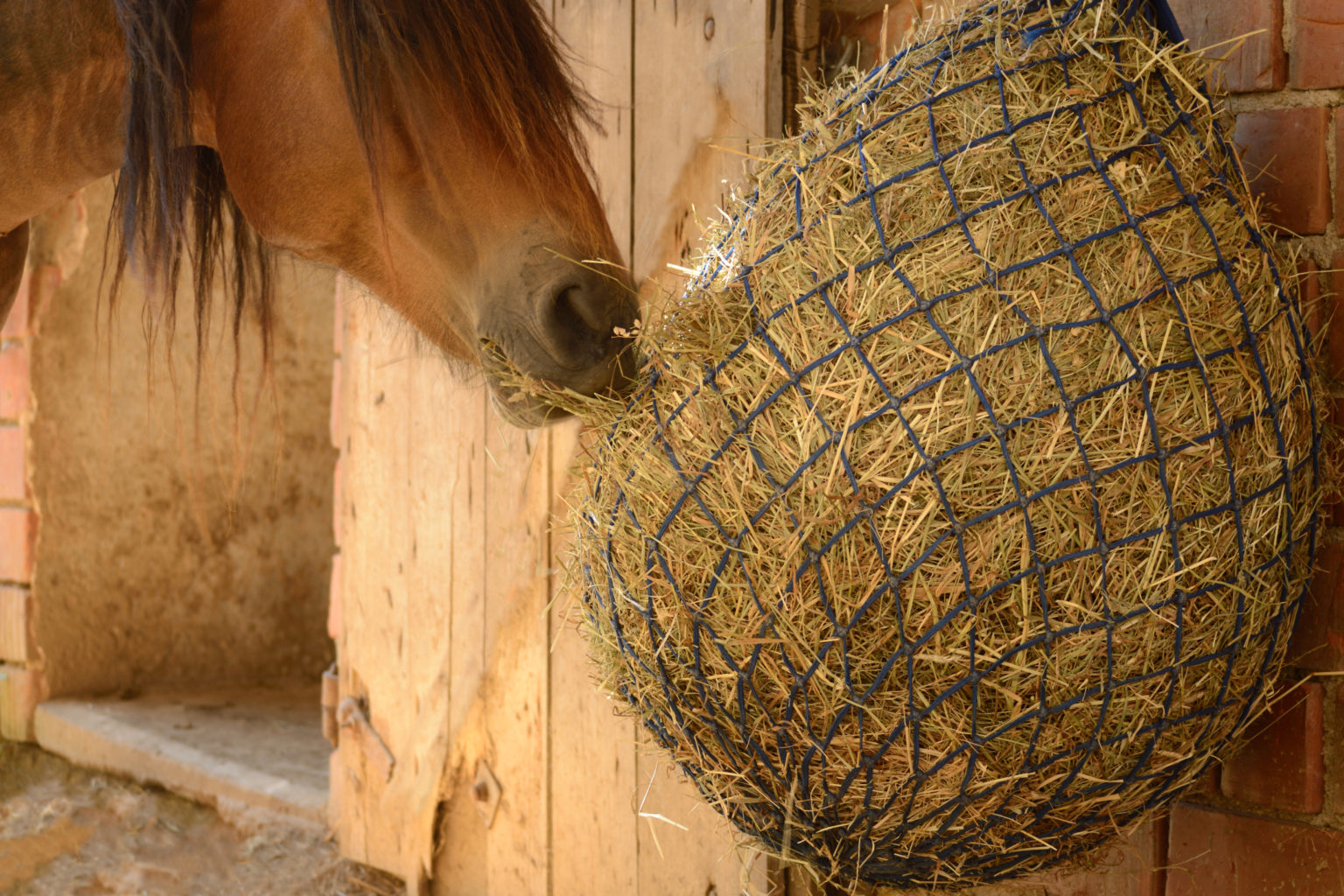 Ways to safeguard hay