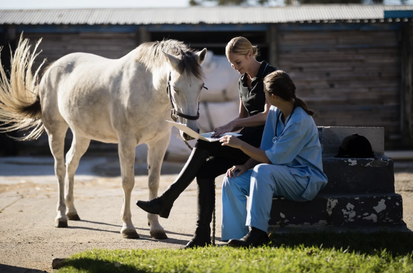 EQUUS Announces Launch of ‘Farm Calls’ Podcast - Equus Magazine