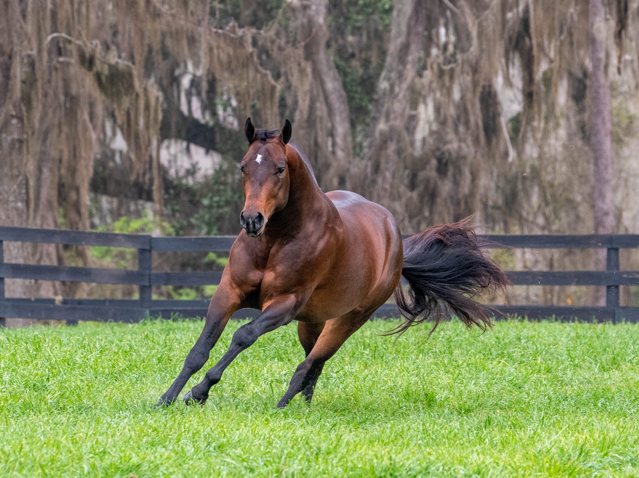 Ask a Pro: What Makes a Feed a Performance Feed?