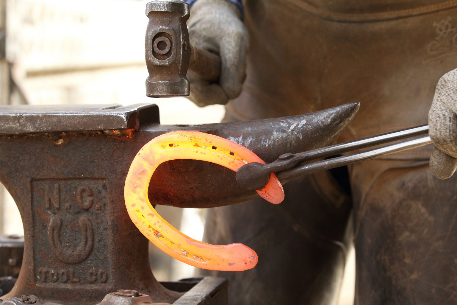 The Basics of Hot Shoeing