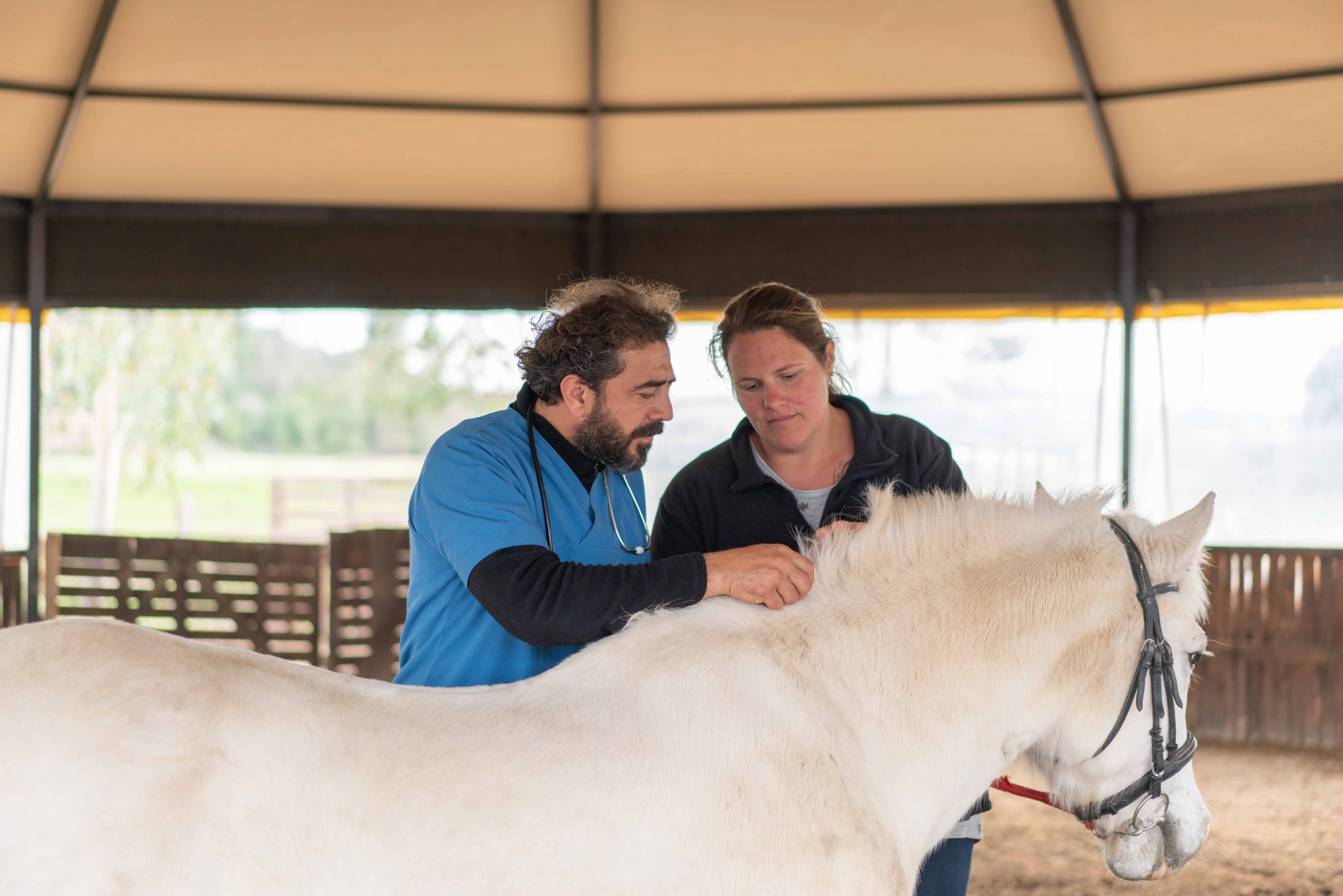 EQUUS 'Farm Calls' Episode 9: Equine Wounds - Equus Magazine