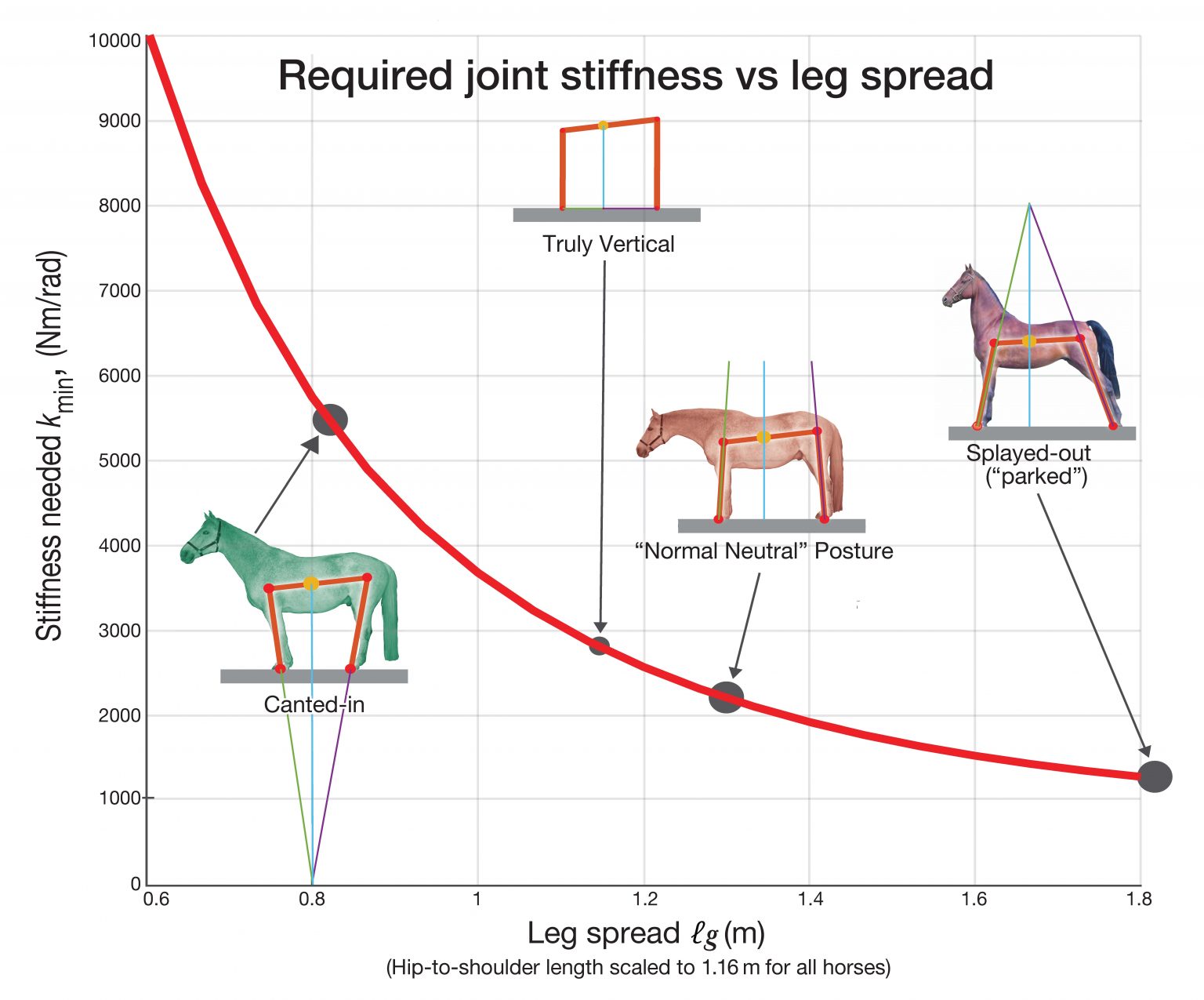 What a horse’s posture may say about his health - Equus Magazine