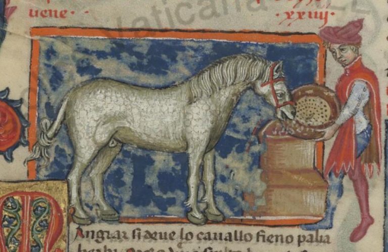 Seminar to explore horse care and training in medieval Europe