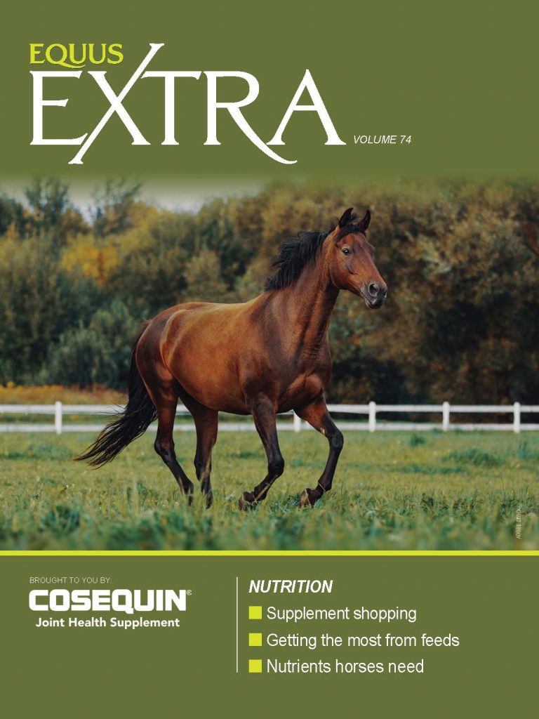 Home - Equus Magazine