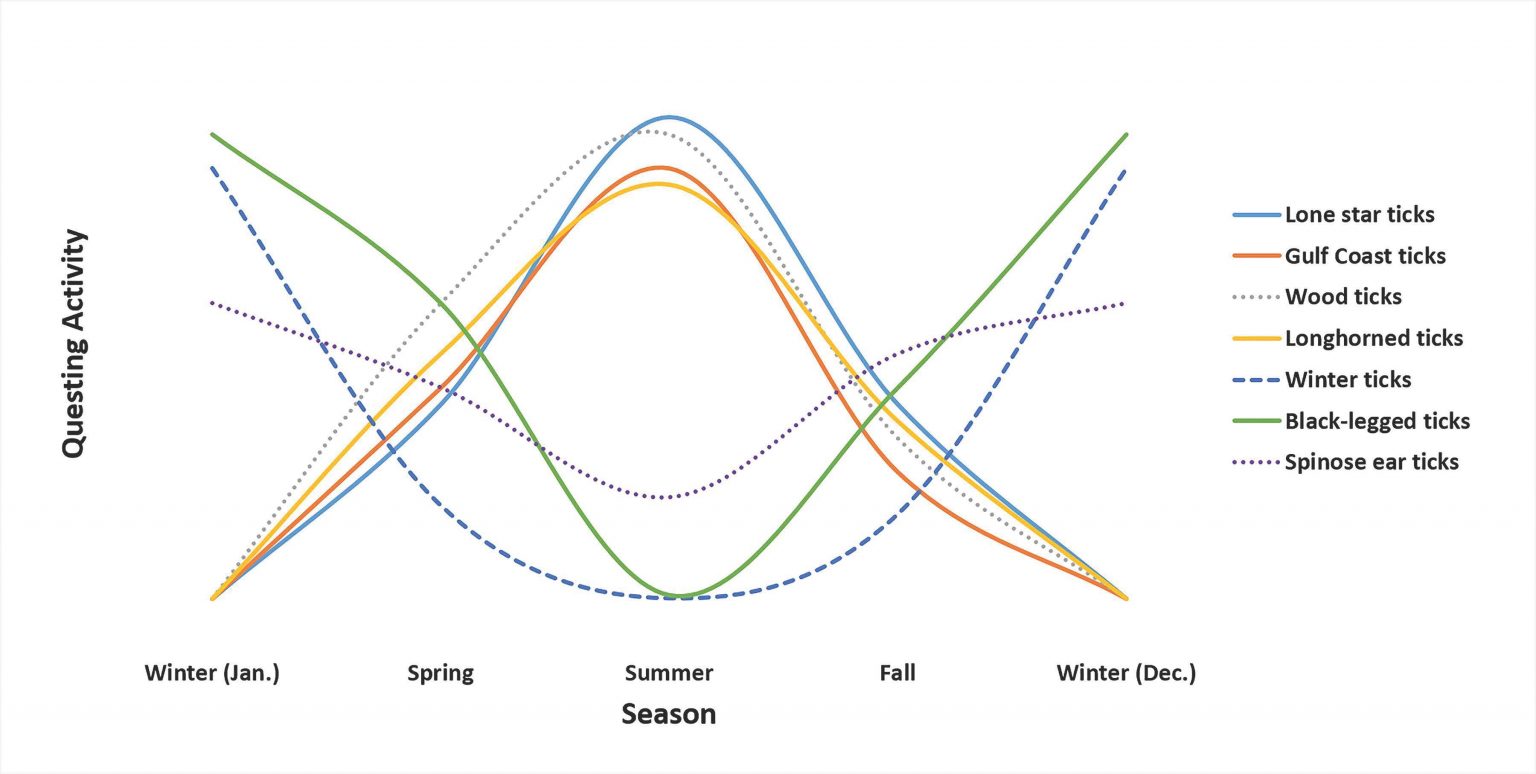 The growing threat of ticks - Equus Magazine