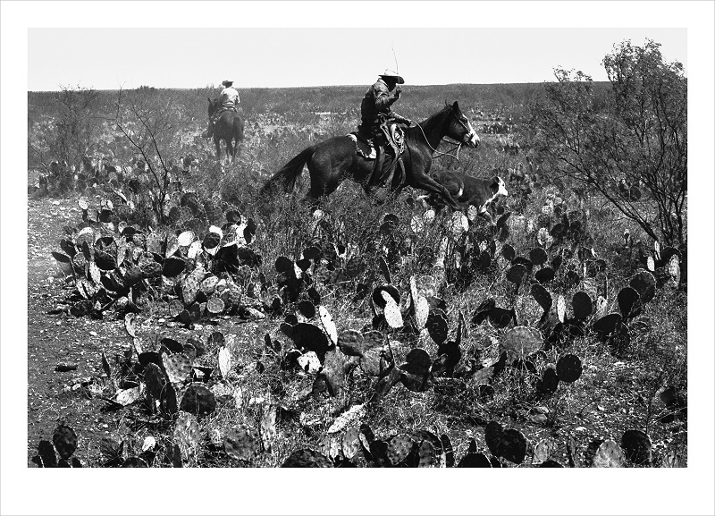 'Celebraciòn de Caballo' at American Quarter Horse museum - Equus Magazine