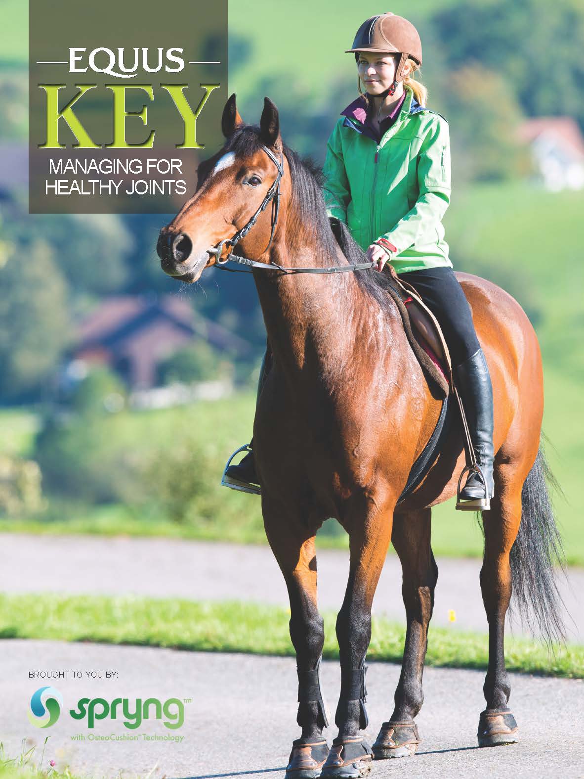 Equine joint health begins with you! - Equus Magazine