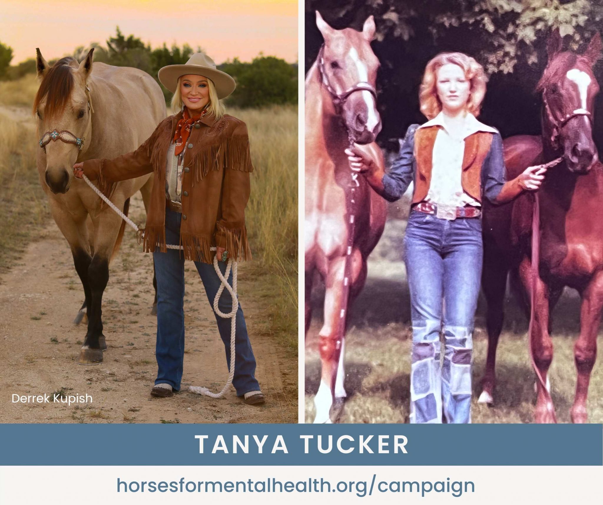 'Seen Through Horses' campaign features celebrity, influencer support - Equus Magazine