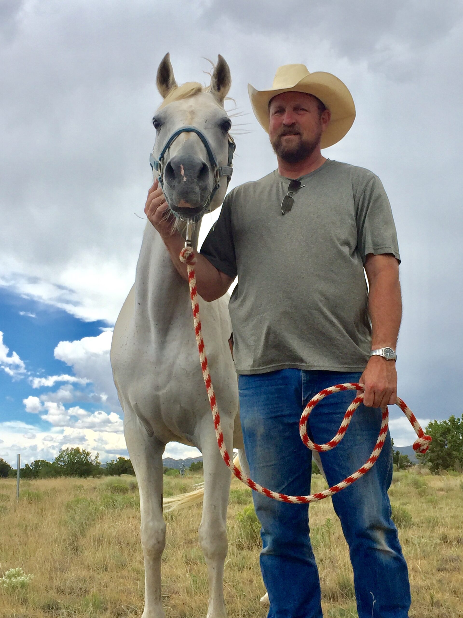 4 Things Horse Vets Want You to Know - Equus Magazine