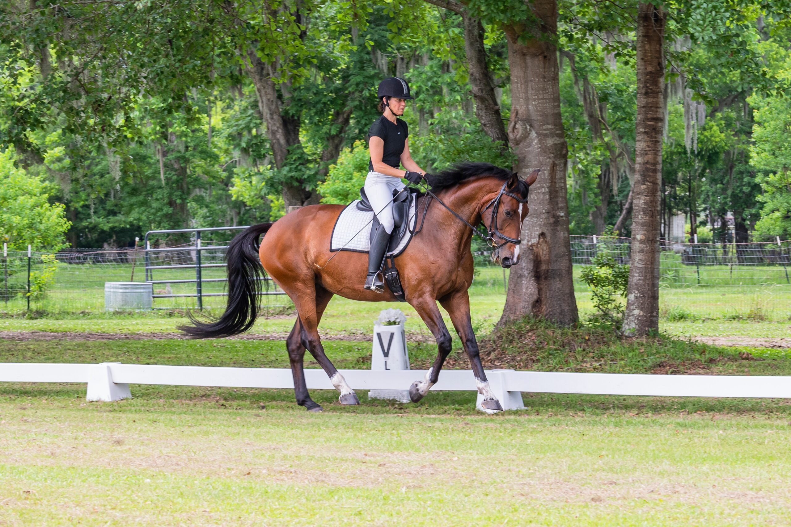 Dressage Foundation names first recipients of Military Grant Fund ...