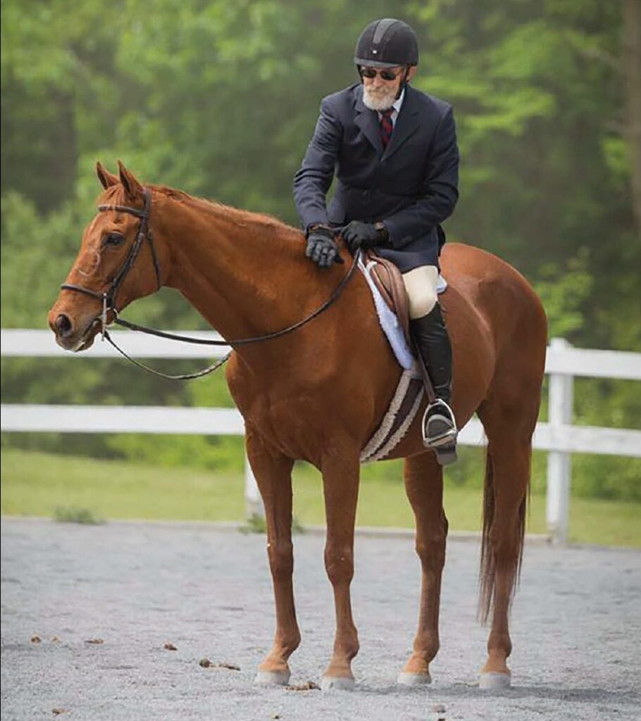 Rethinking how we keep horses in stalls