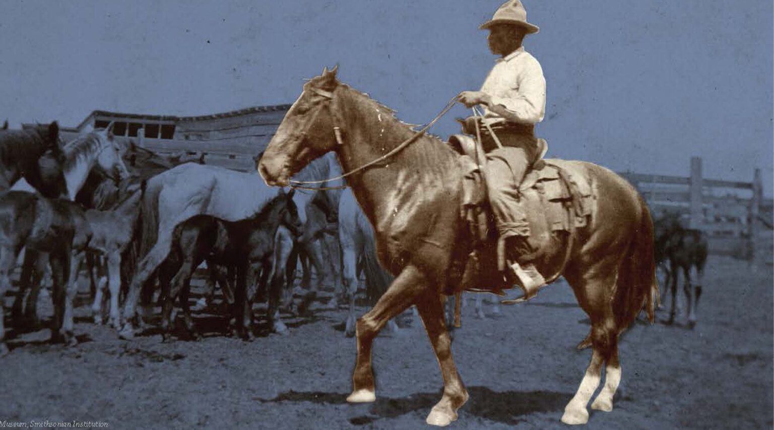 Black Cowboys: An American Story - Equus Magazine