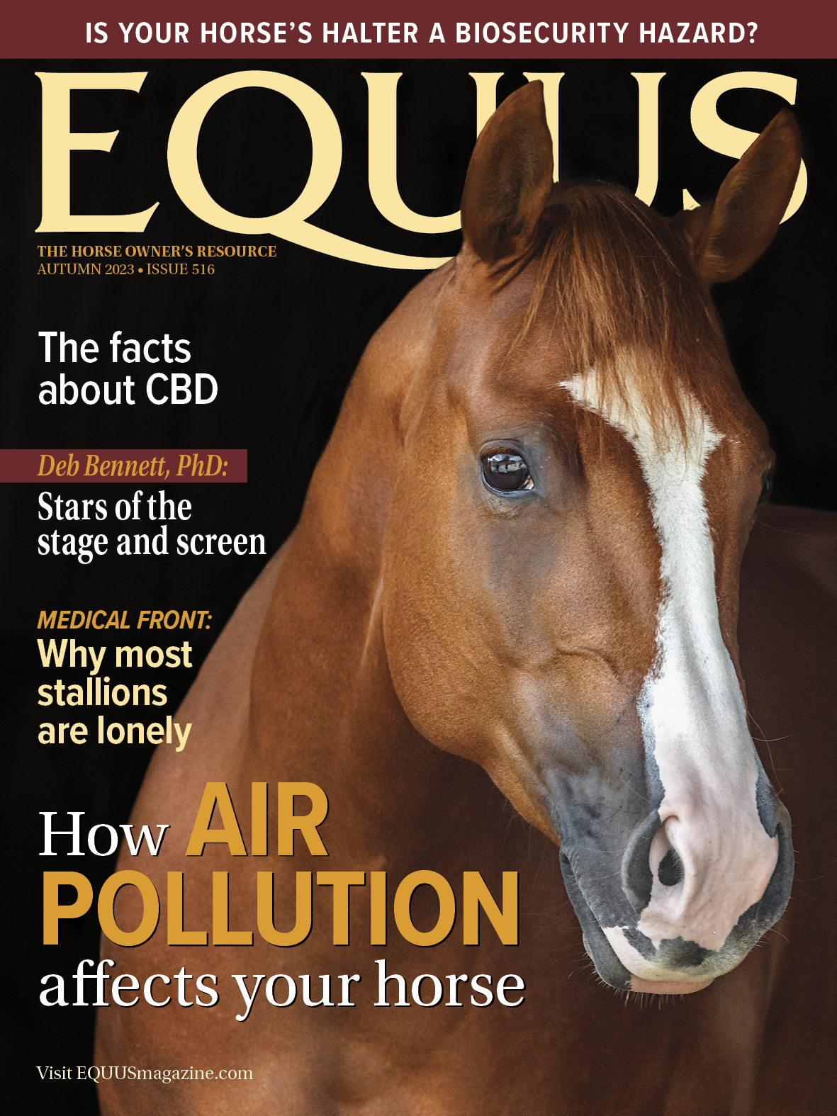 Home - Equus Magazine