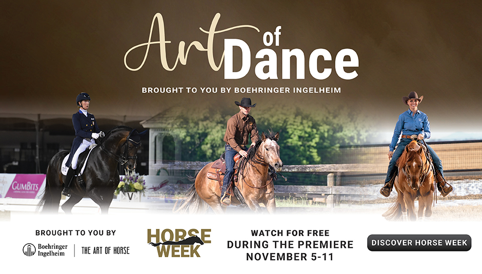 The Art of Freestyle Dancing with Horses - Equus Magazine