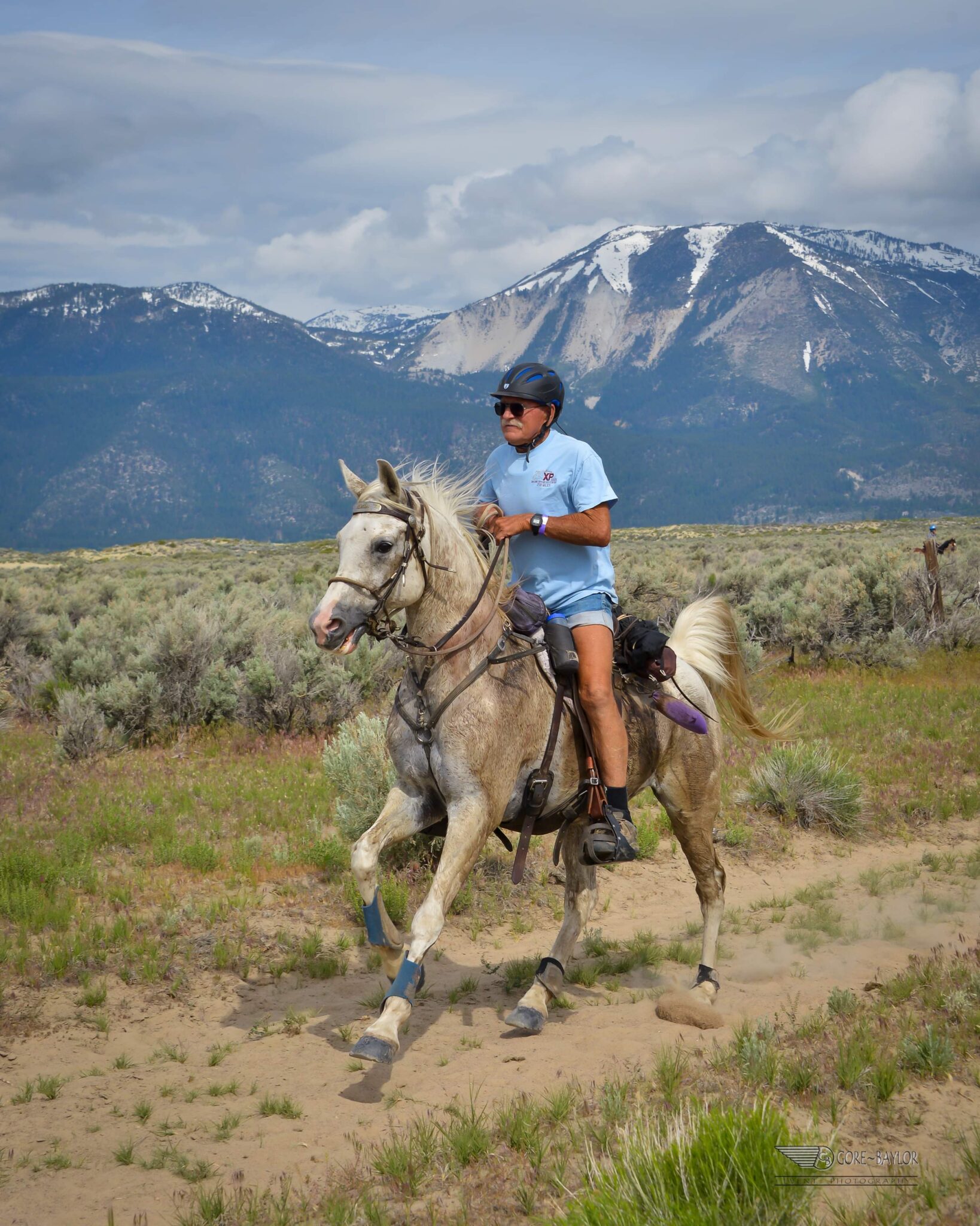 Voices from the Comeback Trail - Equus Magazine